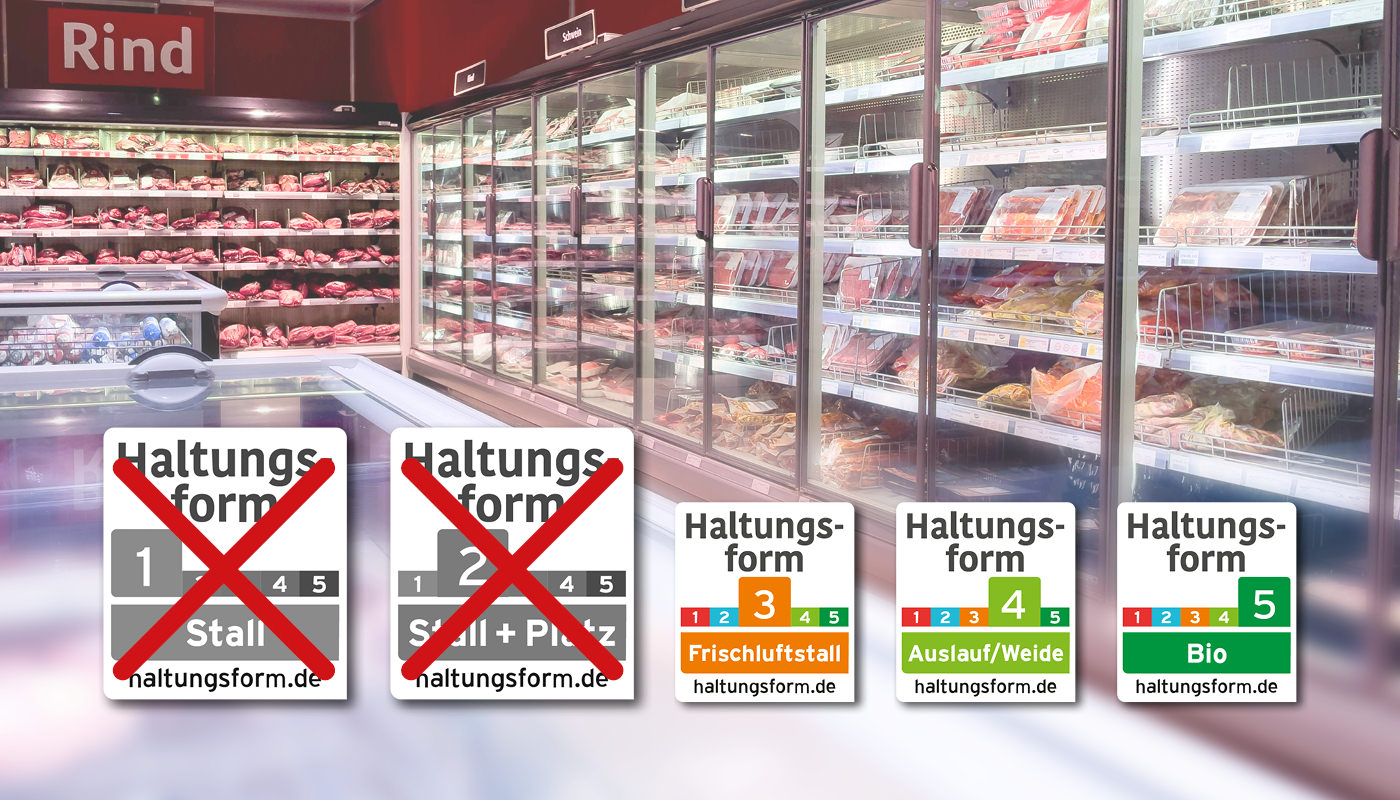 Haltungsformen 1 & 2 abschaffen • Albert Schweitzer Stiftung für unsere ...
